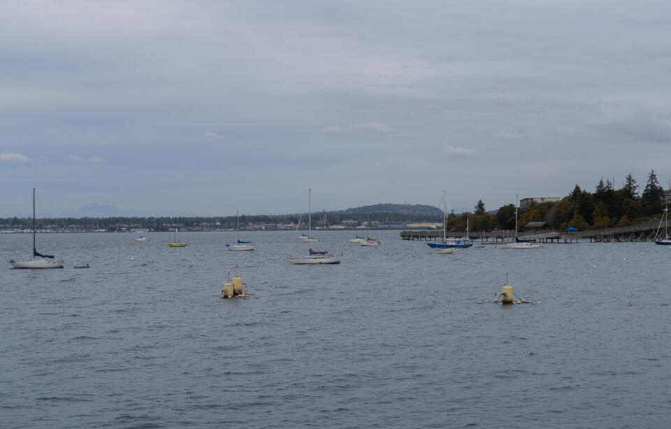 WEATHER: Rain and windy conditions in the forecast for Whatcom County ...