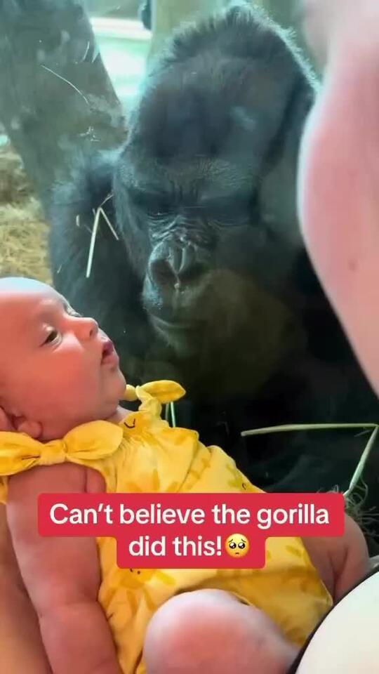 This was a moment to remember ️😍 - NewsBreak