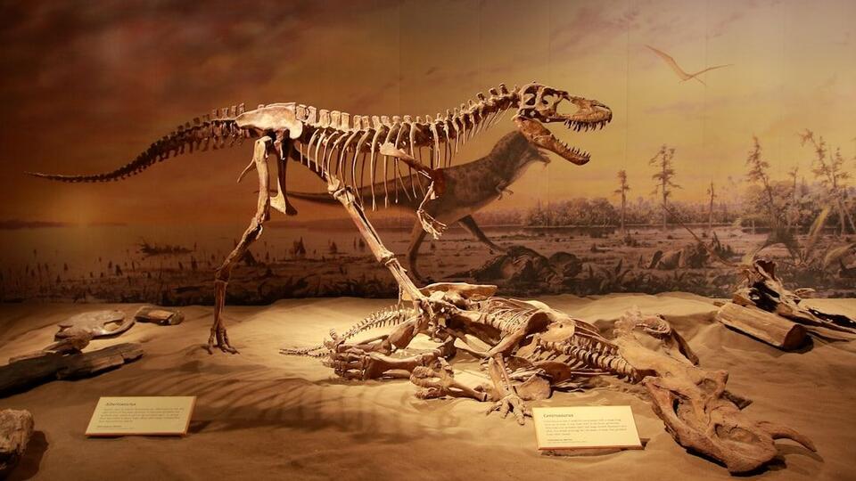12 Recent Discoveries About Prehistoric Creatures - NewsBreak