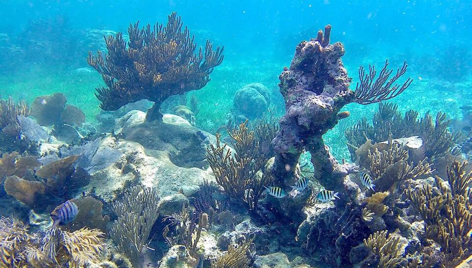 Scientists issue warning after making concerning discovery off US coast: 'We are witnessing an ...