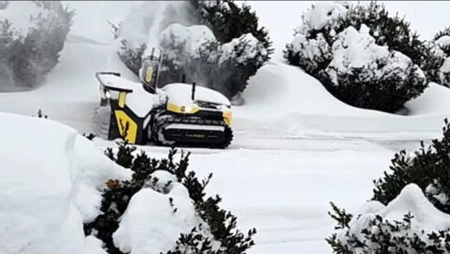 Viral video shows autonomous snow blower at work clearing driveway ...