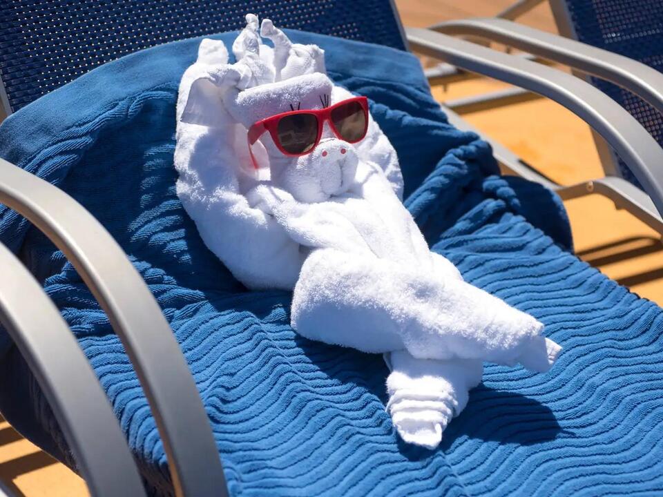 Once Threatened with Extinction, Towel Animals Are Absolutely Thriving