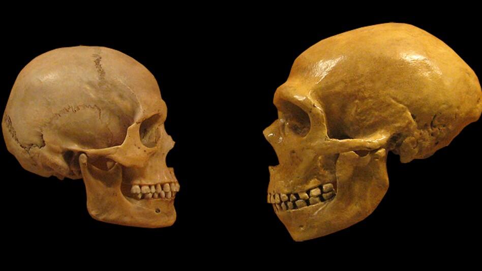 What Ancient DNA Revealed About Humanity’s Most Mysterious Relatives ...