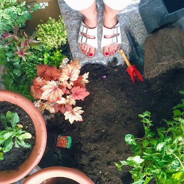 Go Green: Arbor Week in the Neighborhood - NewsBreak