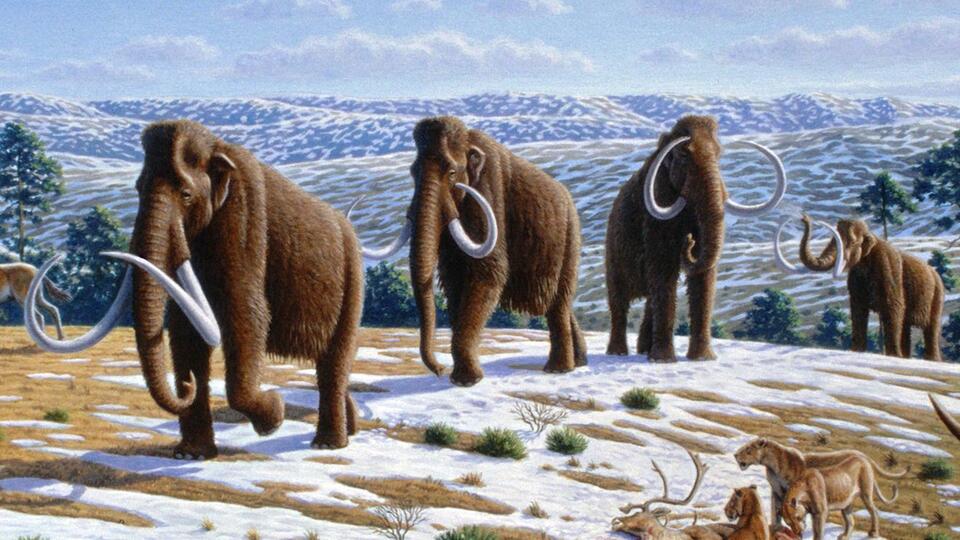 The Mysterious Migration Patterns of Prehistoric Mammals: A Journey ...