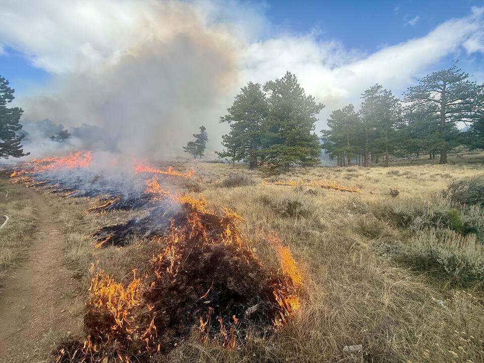 Larimer County, CO – Prescribed Burn: Fire Crew Helps With 300 Acre ...