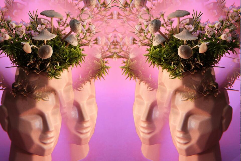 Climate Conservationists Push for People to Live with Nature Rather ...