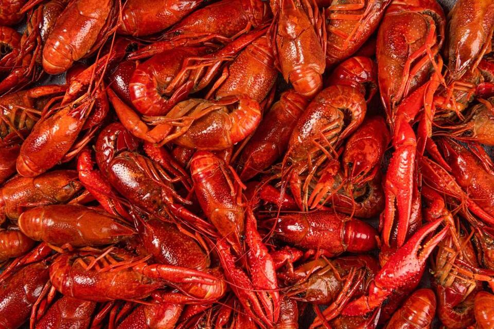 Crawfish Market Prices in 2024: What to Expect When Buying - NewsBreak