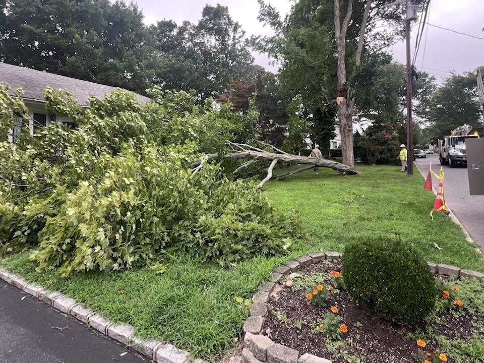 Crews clear trees downed by storm conditions in Suffolk communities