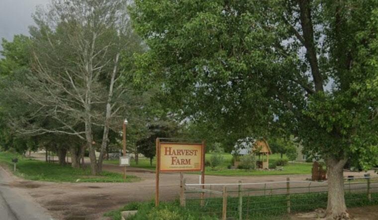Denver Rescue Mission Axes Wellington’s Harvest Farm, Dozens Face ...
