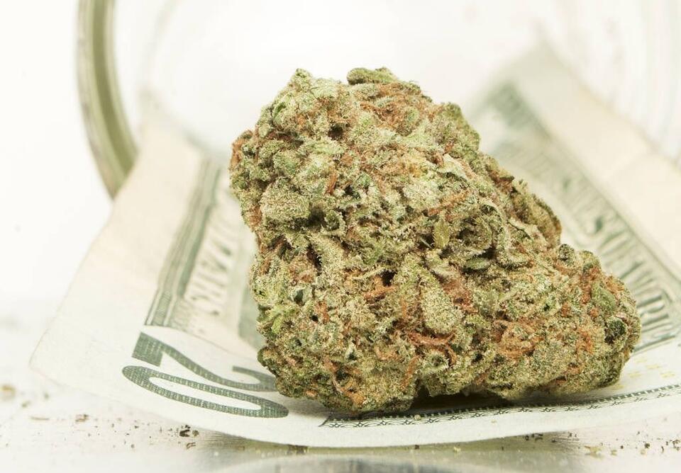Oregon Marijuana Sales Top $75 Million for 20th Straight Month - NewsBreak