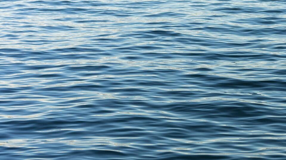 Raw sewage spills into Lake Wylie, Charlotte Water says - NewsBreak