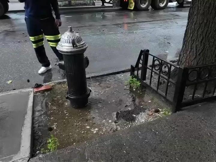 Community launches GoFundMe to save puddle of fish by Brooklyn fire hydrant