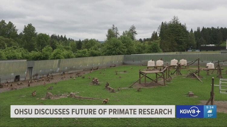 OHSU releases update on primate research center's future - NewsBreak