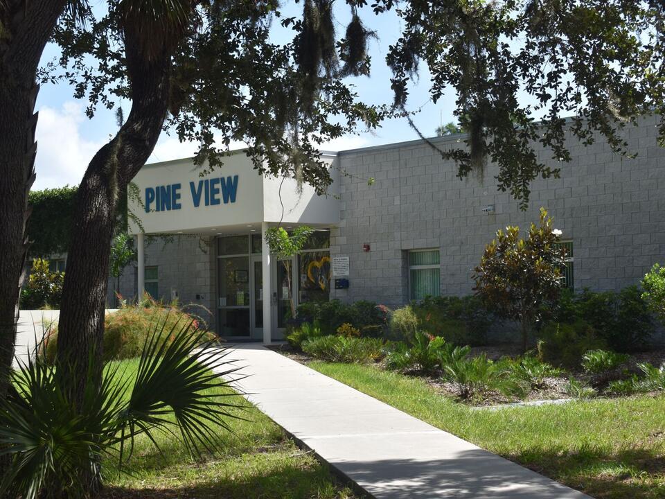 Pine View School named top school in the state