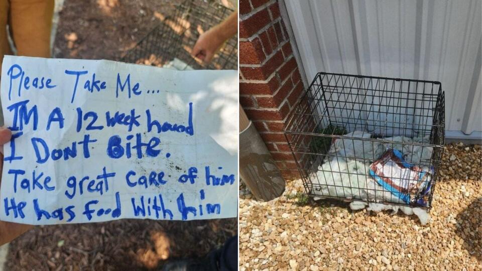 Puppy Left In Cage With Handwritten Note Sparks Outrage Among Officers ...