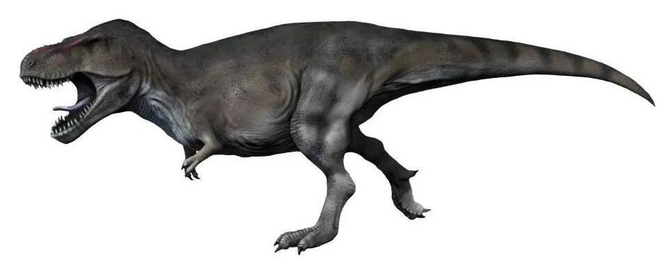 The Truth About T-Rex: Beyond the Hollywood Roar - NewsBreak