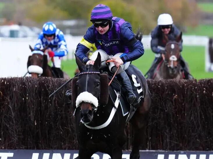 Three horses die during racing at Cheltenham