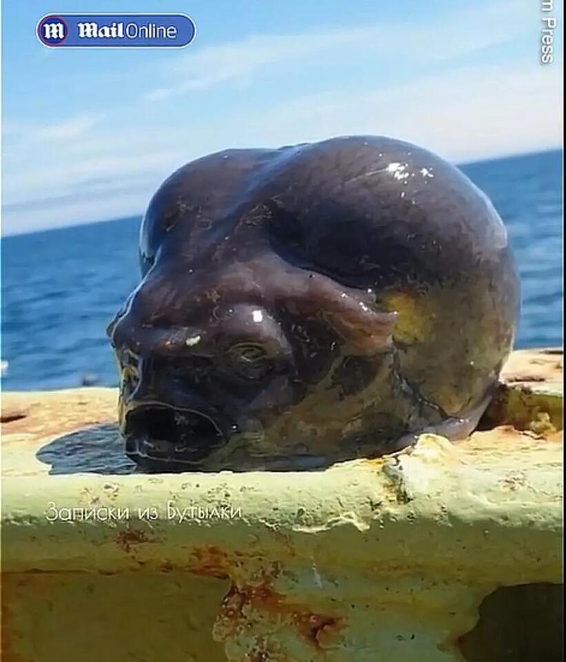 Fisherman Hauls in Catch That Looks Like an Alien Fish From Another ...