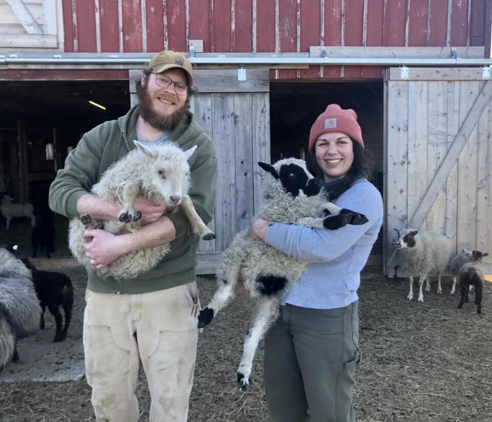Small-scale fiber processing mills are thriving in Maine - NewsBreak