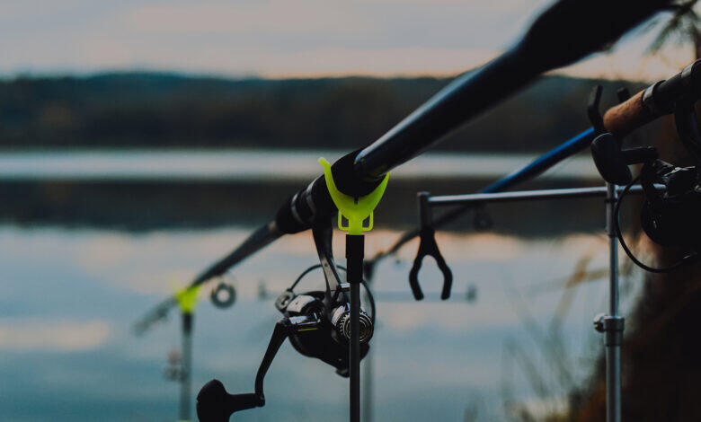 Iowa DNR Fishing Report for Week of December 31, 2025 - NewsBreak