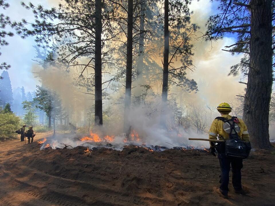 California State Parks and CAL FIRE plan prescribed burns at Calaveras ...