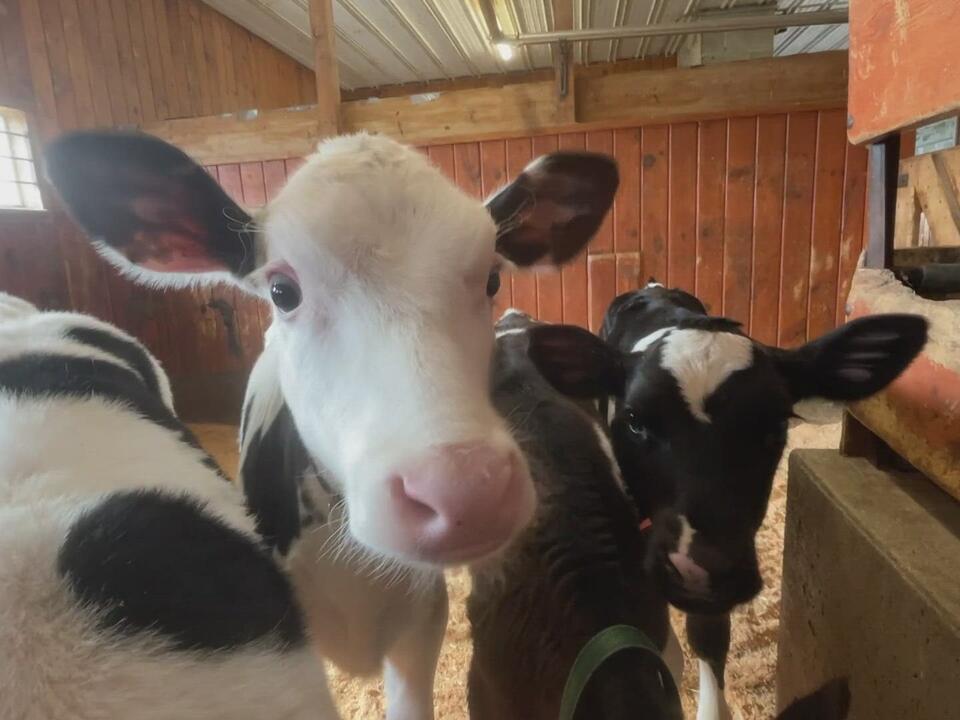 Smiling Hill Farm stands in the way of Maine Turnpike Authority's ...