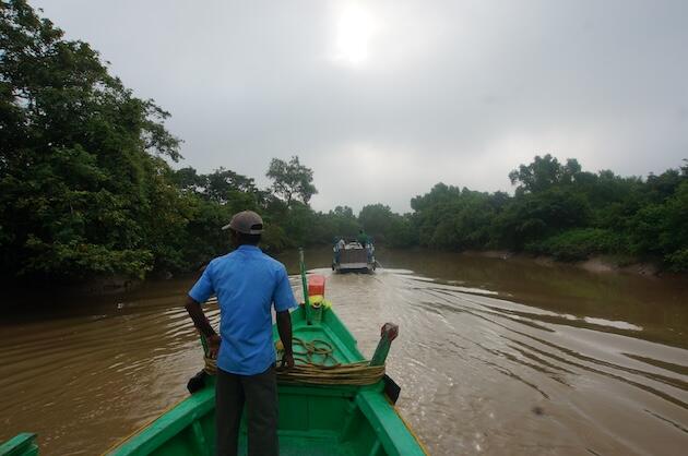 From Fishers to Forest Keepers: Women and Communities Reviving India’s Mangroves - NewsBreak