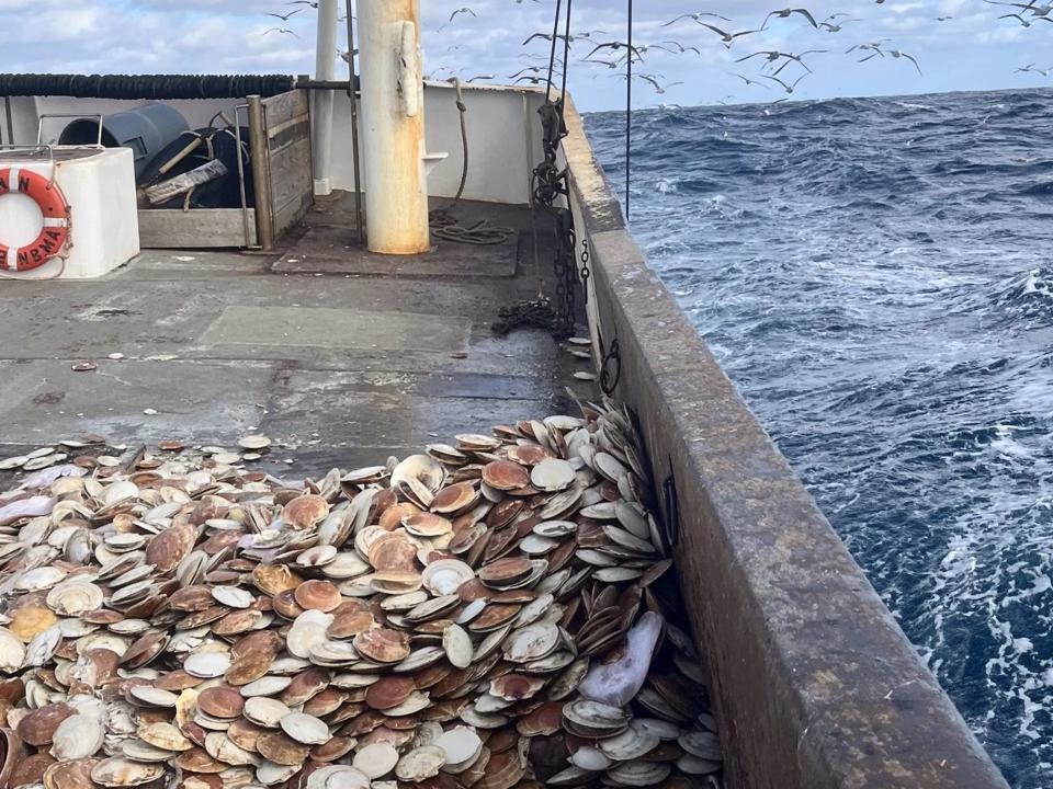 Scallopers assail continued closure of Northern Edge