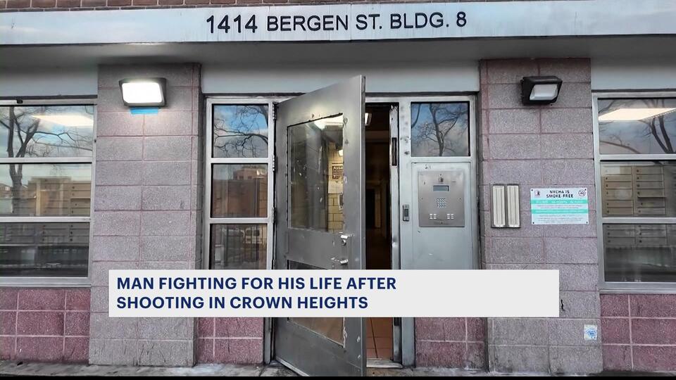 15-year-old boy shot in the head at Crown Heights apartment building ...