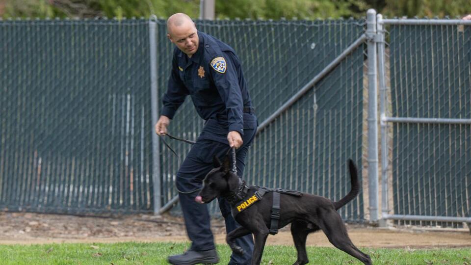Paw and Order: Four New K-9 Teams Strengthen California Highway Patrol ...